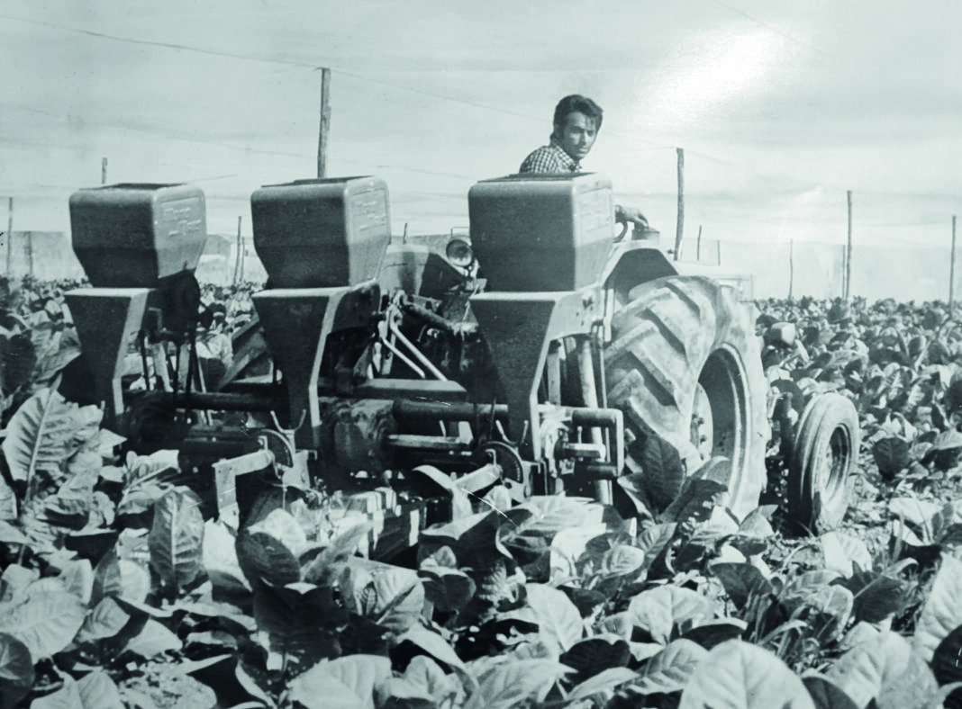 I 50 anni di Torello: una storia di imprenditoria familiare per il ...