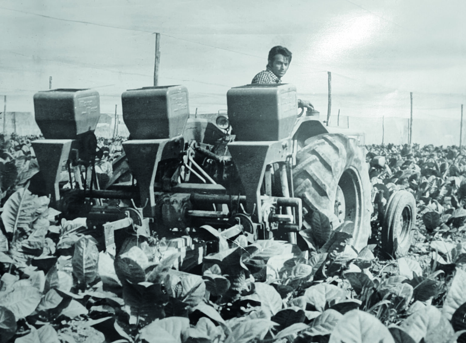 I 50 anni di Torello: una storia di imprenditoria familiare per il ...